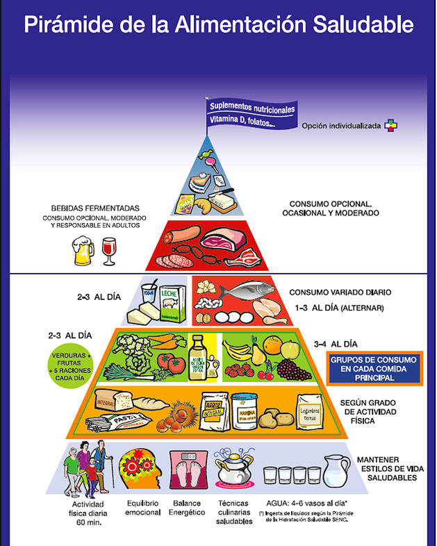 Nueva pirámide de la alimentación saludable avalada por la SENC ...