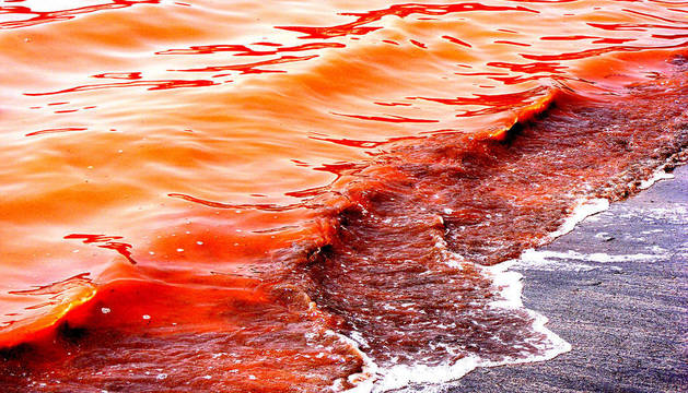 Los griegos no sabían ver que el mar (ni nada) es azul | Noticias de ...
