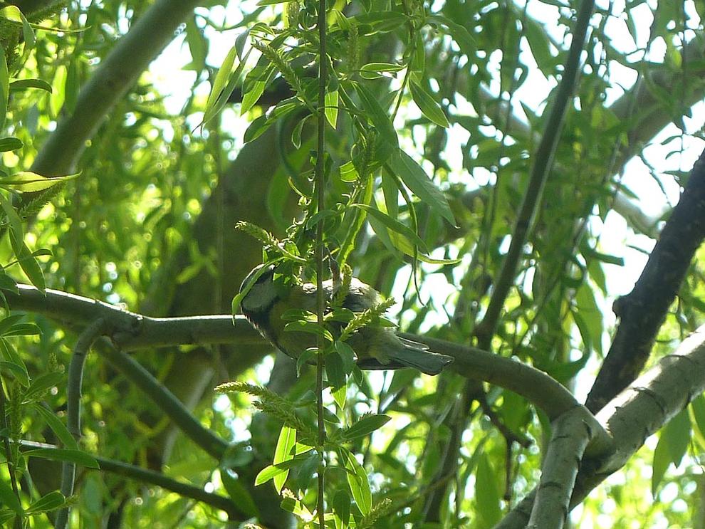 Galería: Fotos de la primavera enviadas por los lectores | Diario de ...