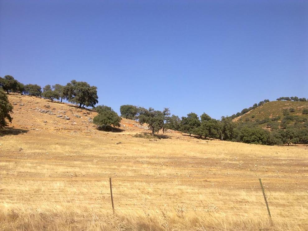 España se seca por dentro | Noticias de Nacional en Diario de Navarra