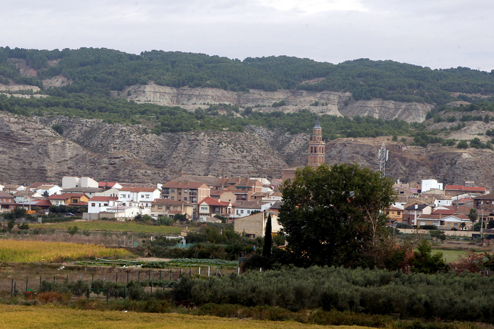 17 localidades se unen para la mejora y aprovechamiento de sus pinares ...