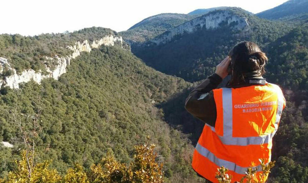 El Gobierno considera inviable armar a los agentes forestales ...
