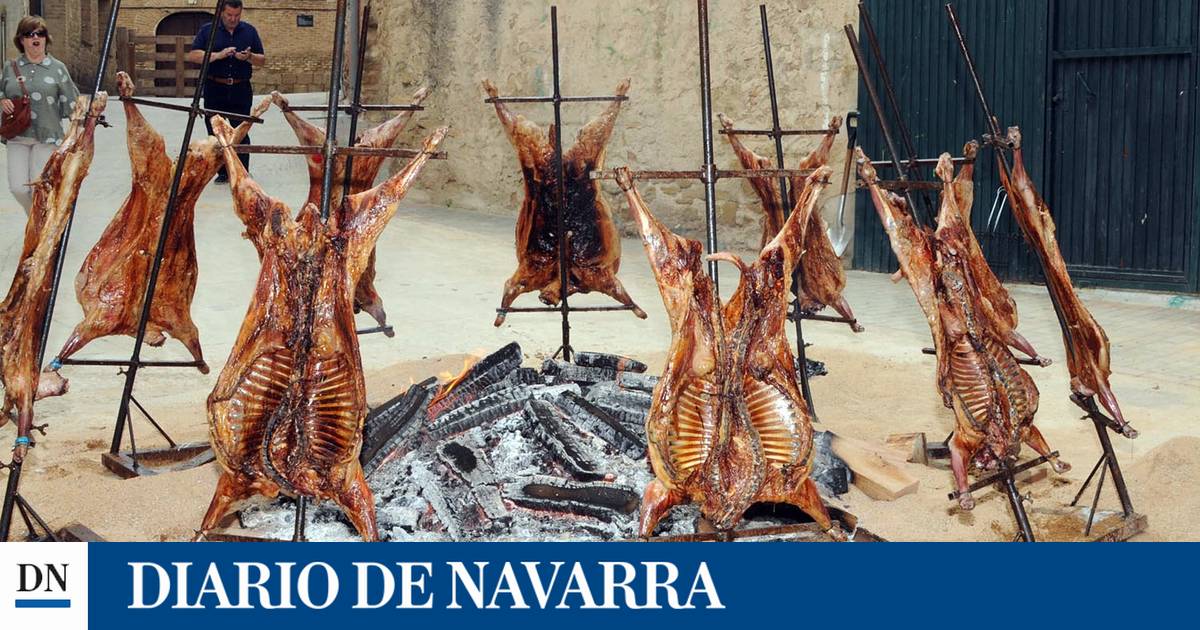 Fotos del día de la Vaca Brava: tradición y espectáculo | Diario de Navarra